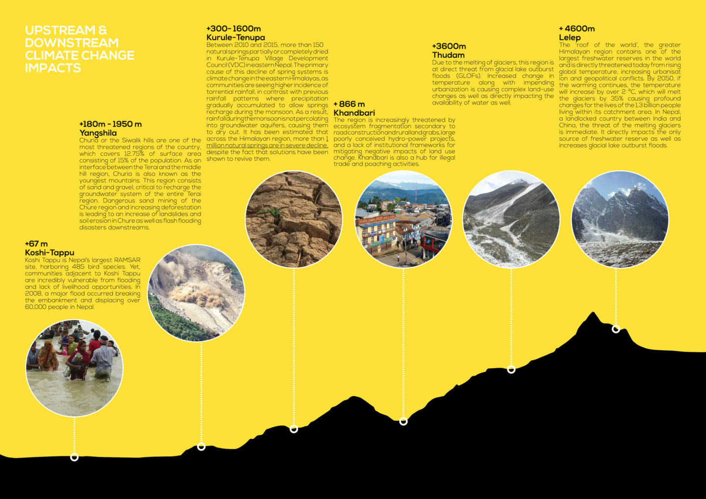 THE VERTICAL UNIVERSITY PROJECT - What Design Can Do