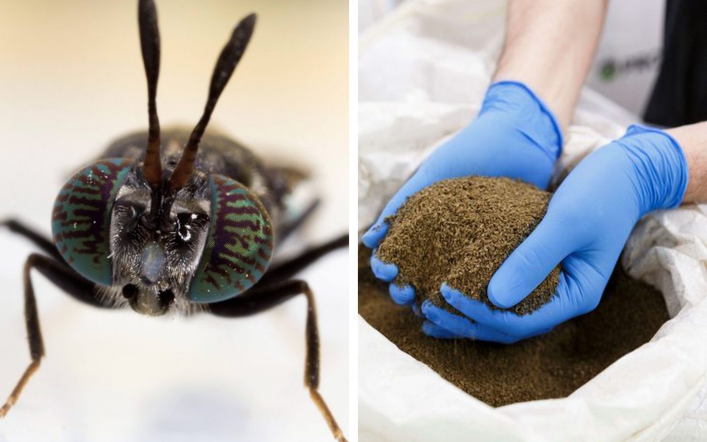 Food waste, reimagined - What Design Can Do