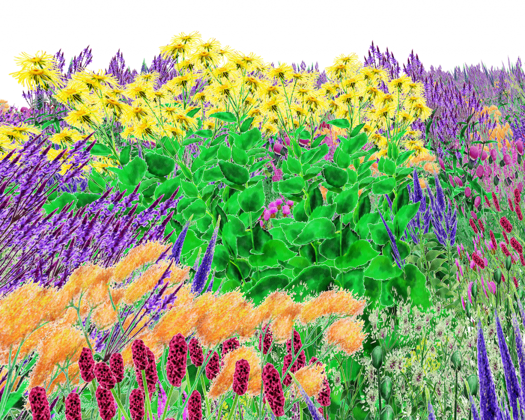 ‘I wanted to make an artwork for pollinators, not about them’ - What ...