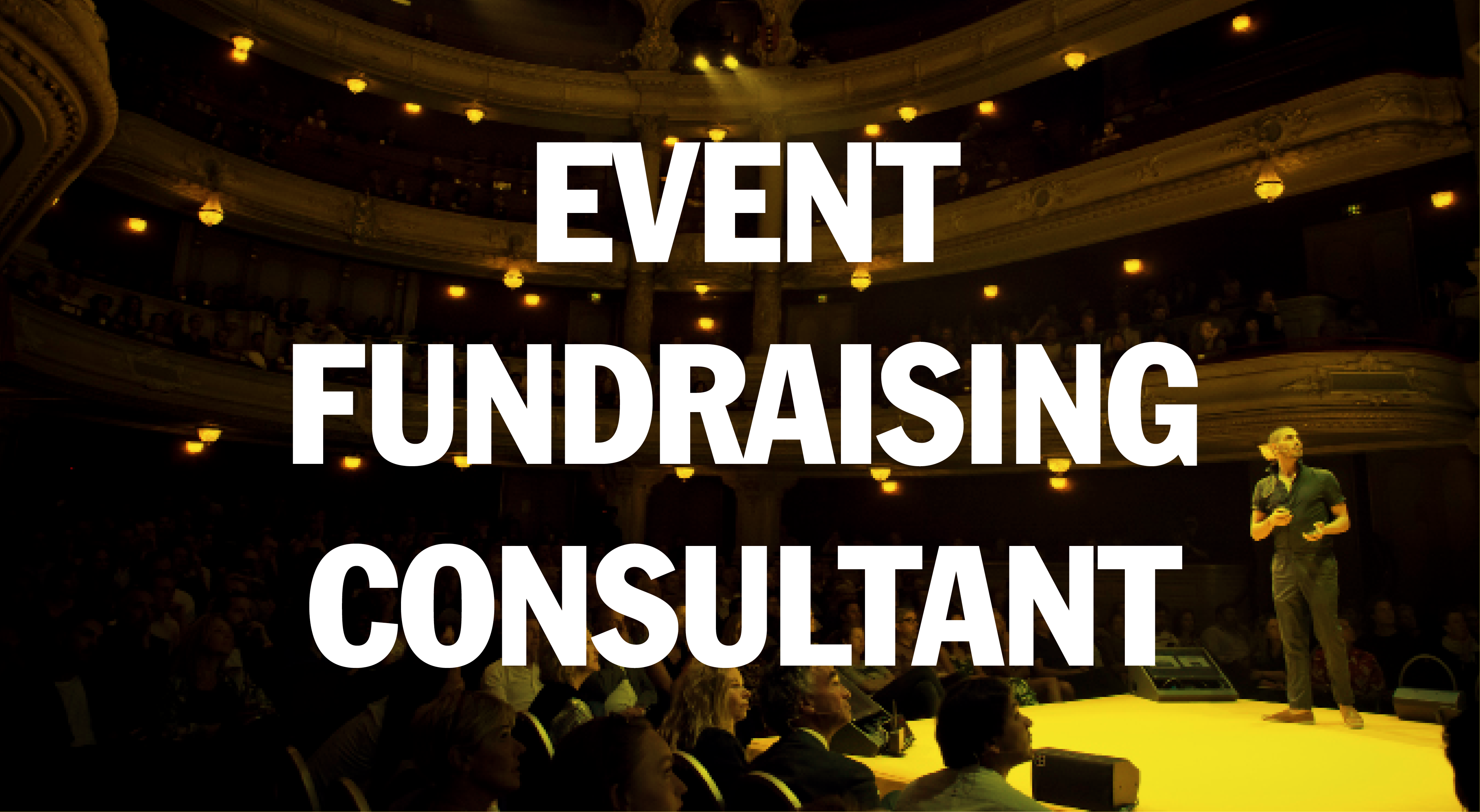 Event Fundraising Consultant - What Design Can Do