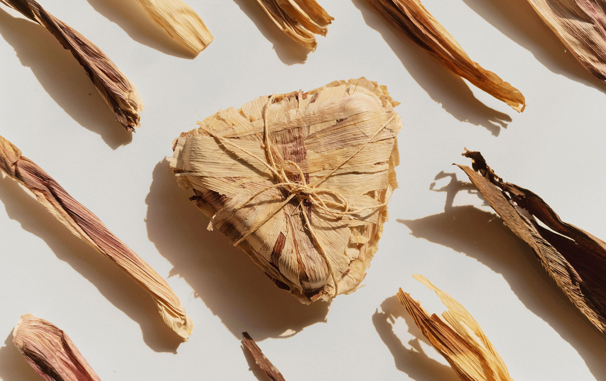 Taina Campos on sisterhood, tamales & tomorrow’s materials - What ...