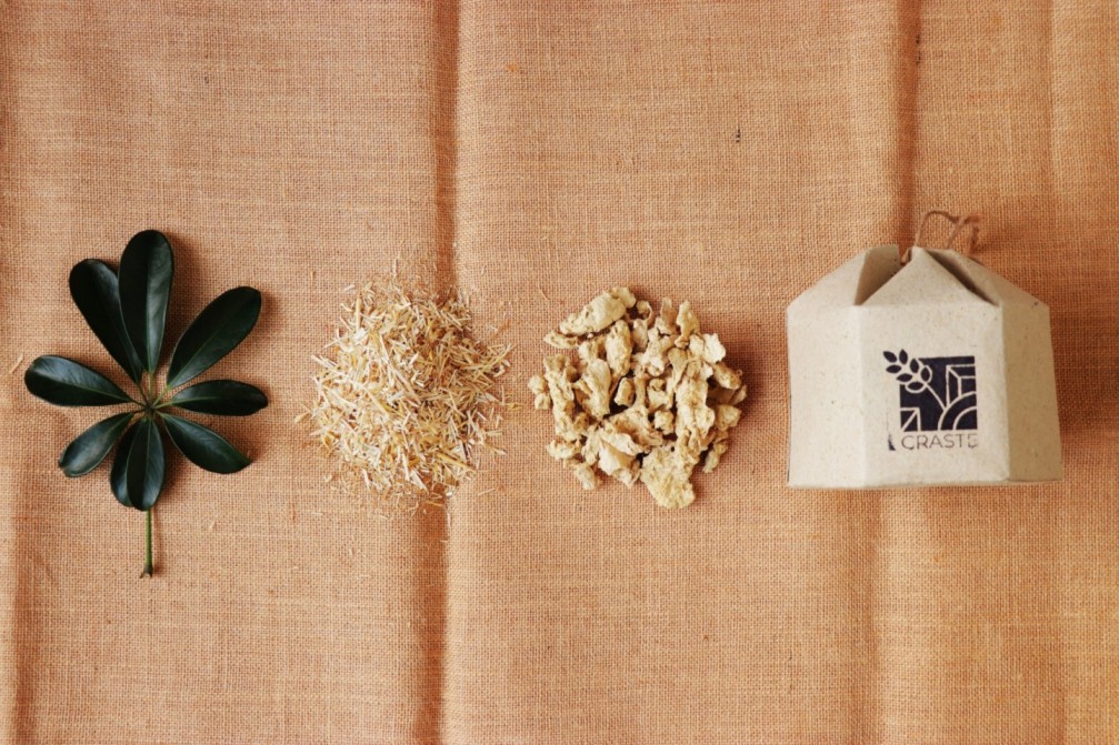 CRASTE - What Design Can Do