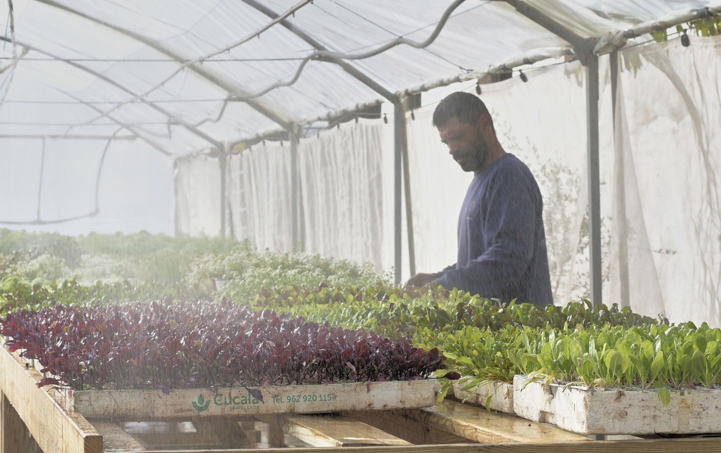 Farmers and creatives meet at Juntos Farm - What Design Can Do