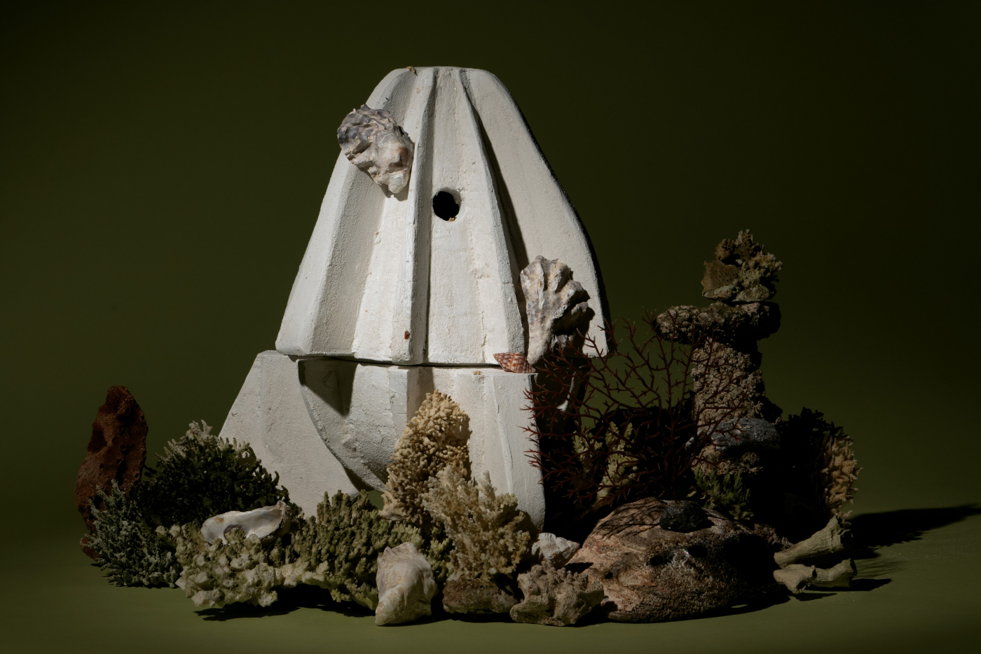 Reef Rocket - What Design Can Do