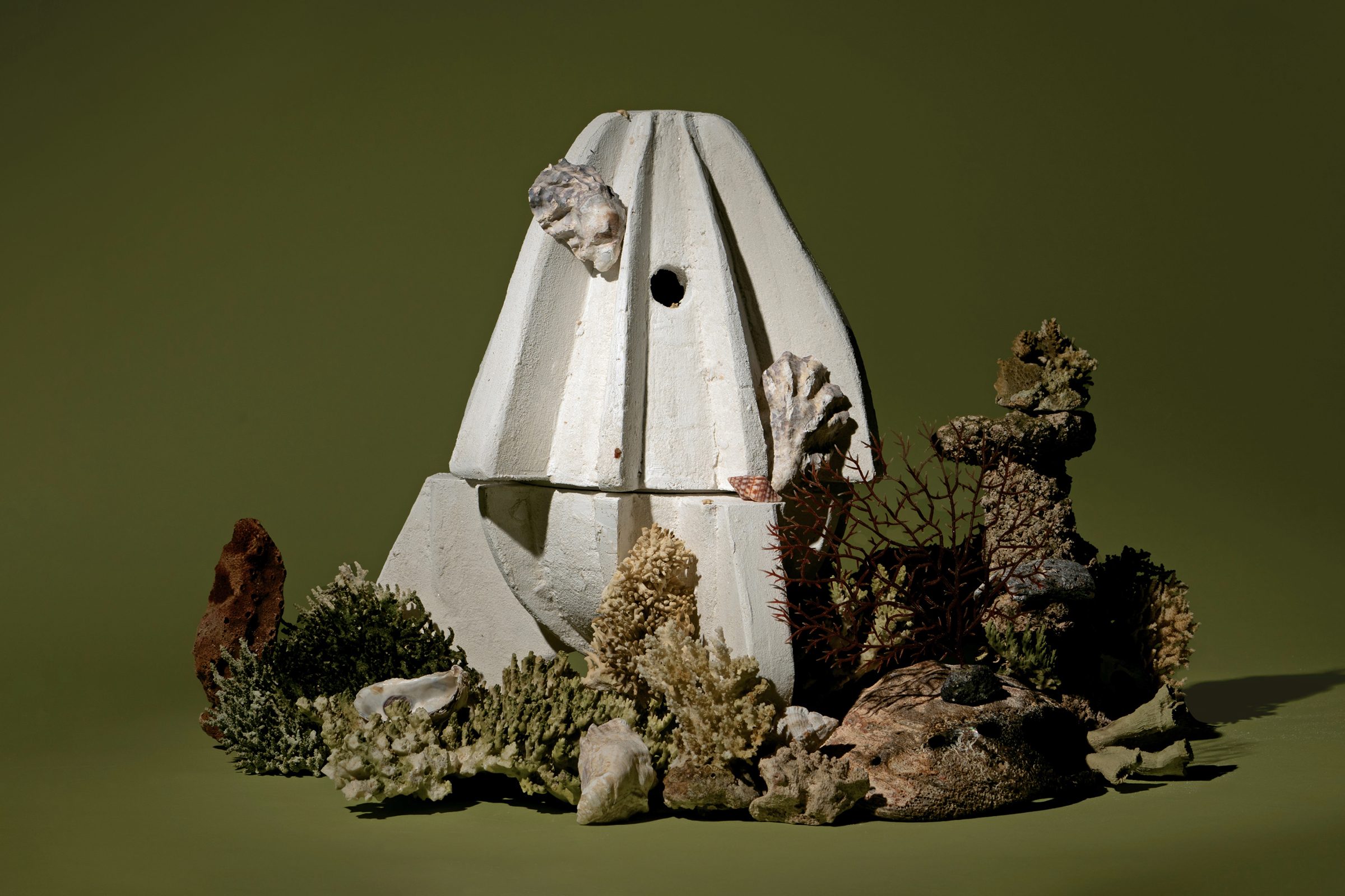 Restoring New York City’s Reefs - What Design Can Do