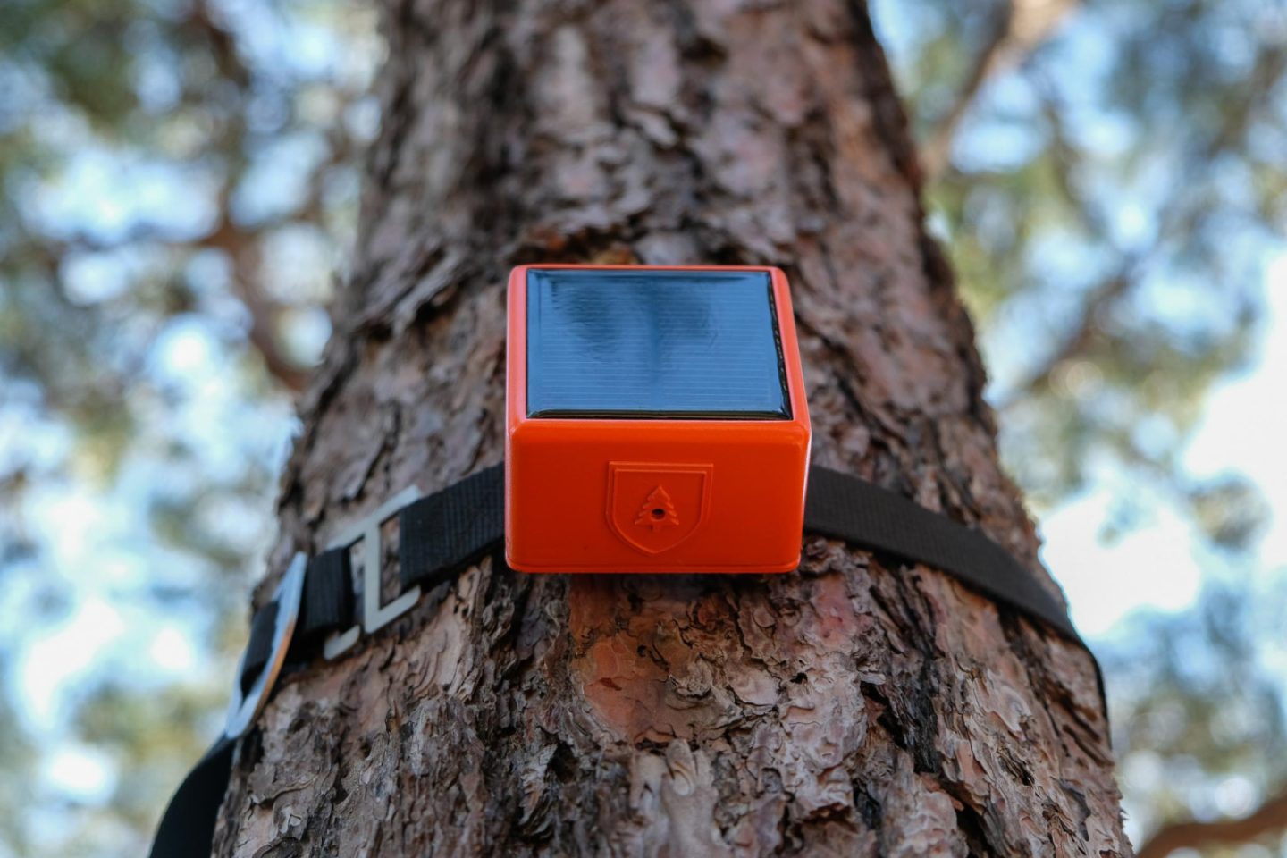 A smarter way to fight forest fires - What Design Can Do